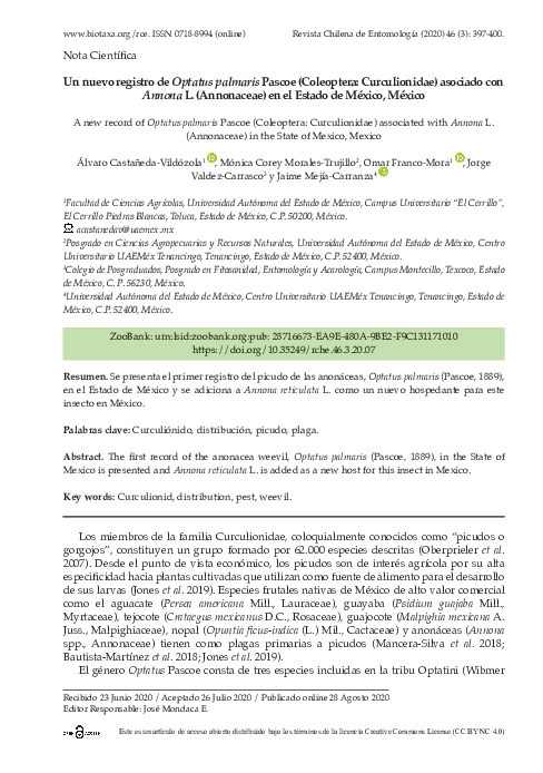 (PDF) Un nuevo registro de Optatus palmaris Pascoe (Coleoptera ...