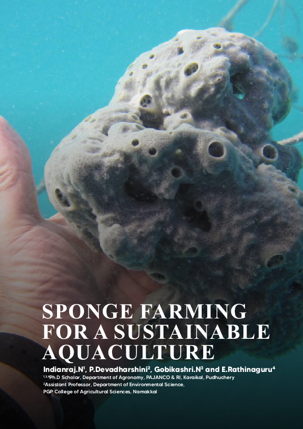 (PDF) SPONGE FARMING | Indianraj .N - Academia.edu