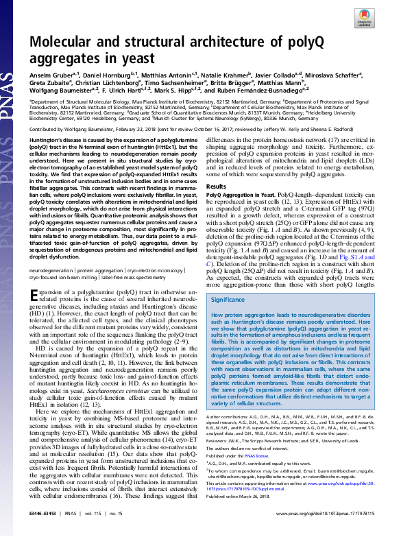 (PDF) Molecular and structural architecture of polyQ aggregates in yeast