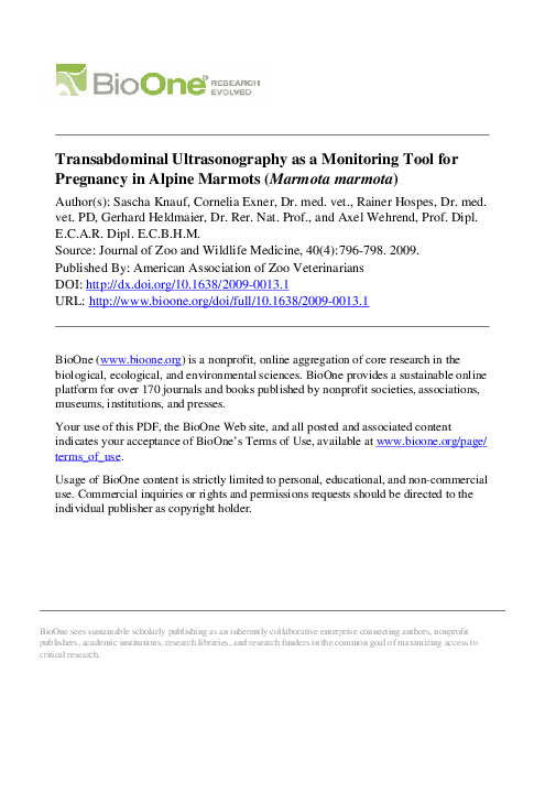 (PDF) Transabdominal Ultrasonography as a Monitoring Tool for Pregnancy ...
