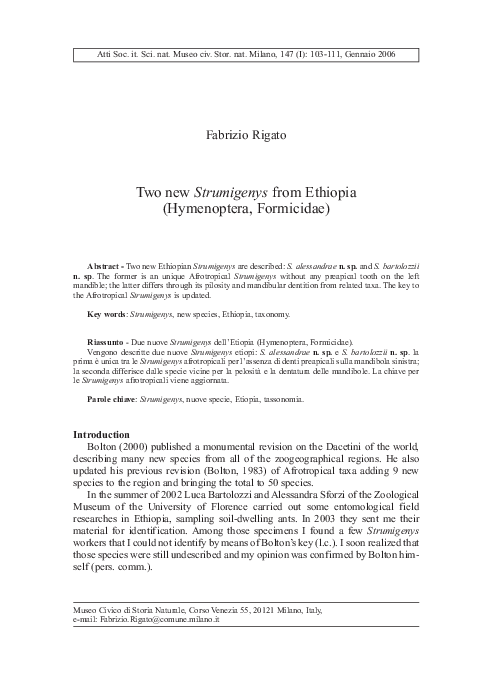 (PDF) Two new Strumigenys from Ethiopia (Hymenoptera, Formicidae ...