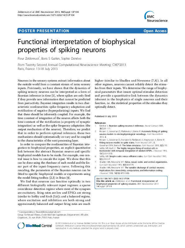 (PDF) Functional interpretation of biophysical properties of spiking neurons