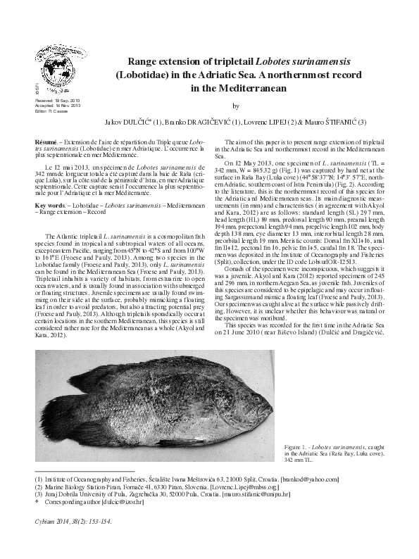 (PDF) Range extension of tripletail Lobotes surinamensis (Lobotidae) in ...