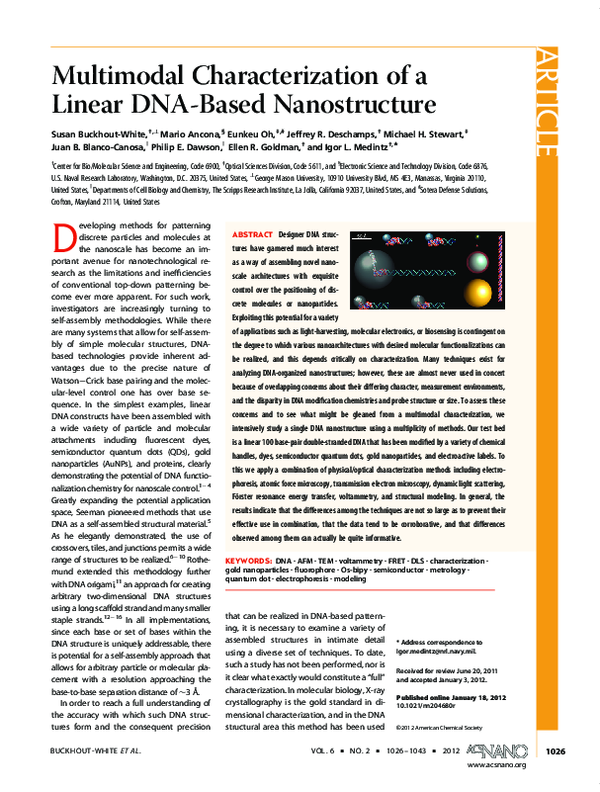 (PDF) Multimodal Characterization of a Linear DNA-Based Nanostructure
