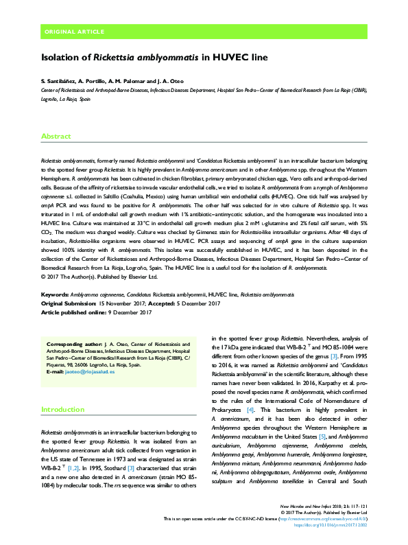 (PDF) Isolation of Rickettsia amblyommatis in HUVEC line