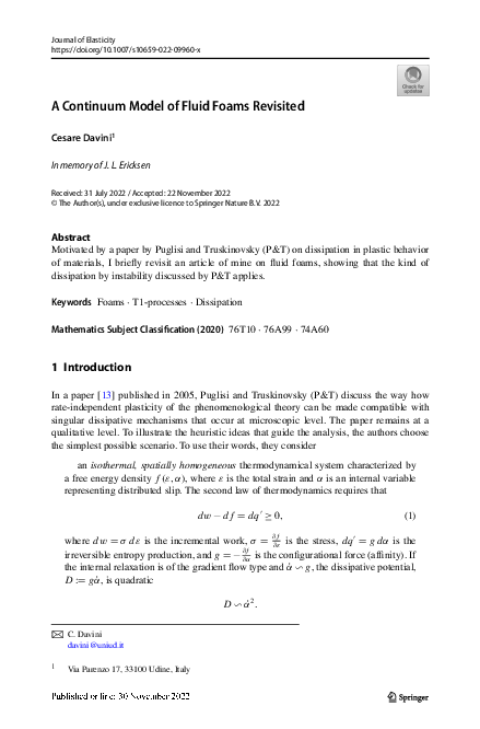 (PDF) A Continuum Model of Fluid Foams Revisited
