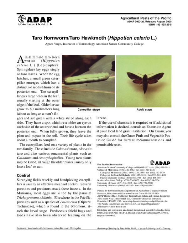 (PDF) Taro Hornworm/Taro Hawkmoth (Hippotion celerio L.)