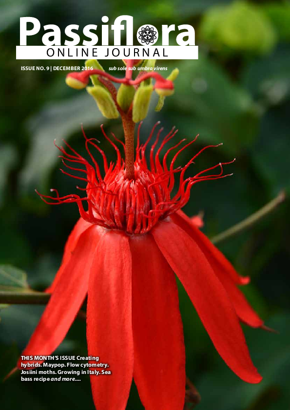 (PDF) Flow cytometry : a useful tool measuring ploidy in Passiflora ...
