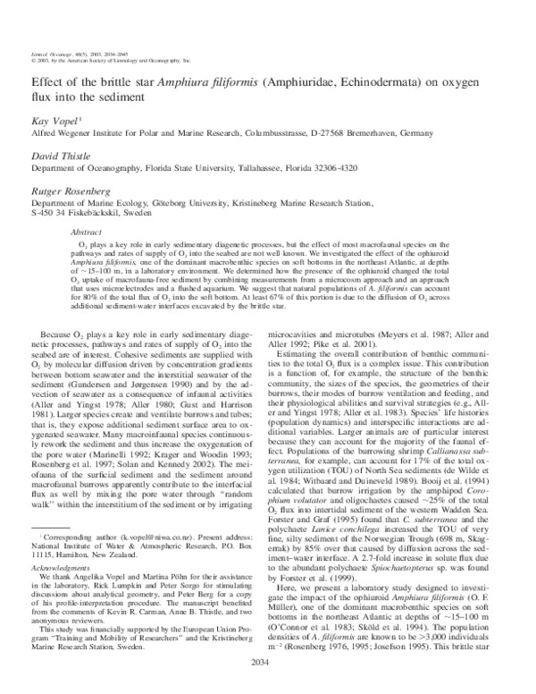(PDF) Effect of the brittle star Amphiura filiformis (Amphiuridae ...