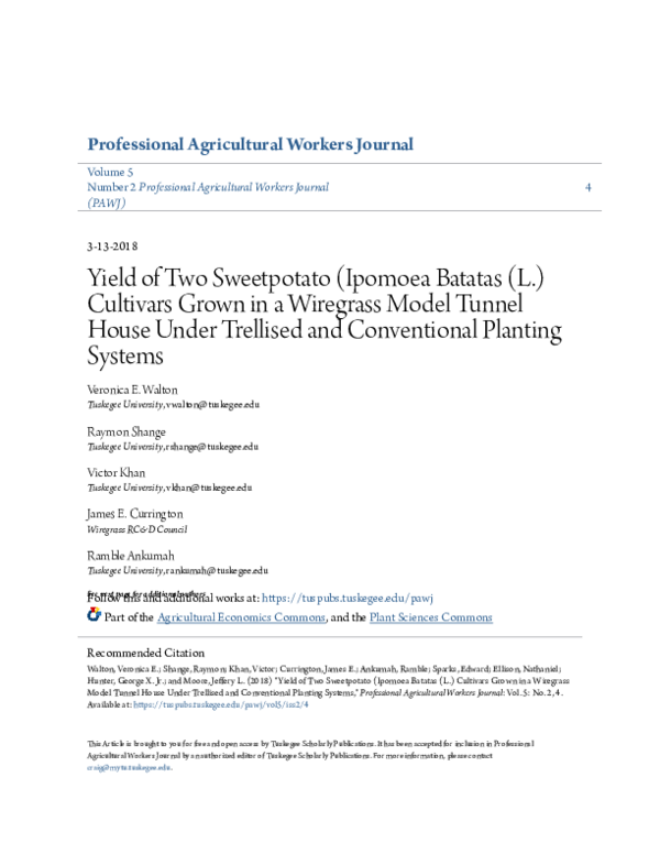 (PDF) Yield of Two Sweetpotato (Ipomoea Batatas (L.) Cultivars Grown in ...