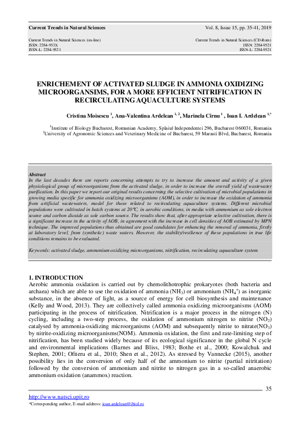 (PDF) Enrichement of Activated Sludge in Ammonia Oxidizing Microorgansims, for a More Efficient ...