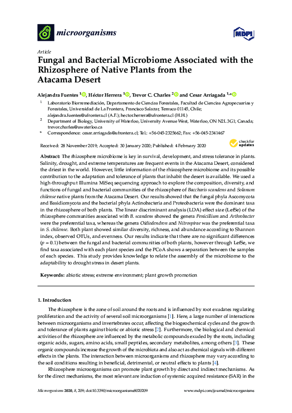 (PDF) Microbiome Diversity in Atacama Desert Native Plant Rhizospheres