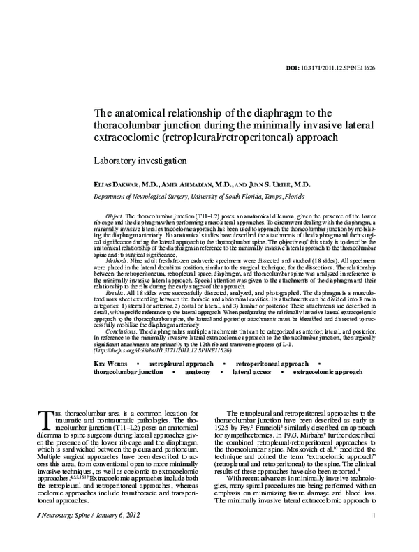 (PDF) The anatomical relationship of the diaphragm to the thoracolumbar ...