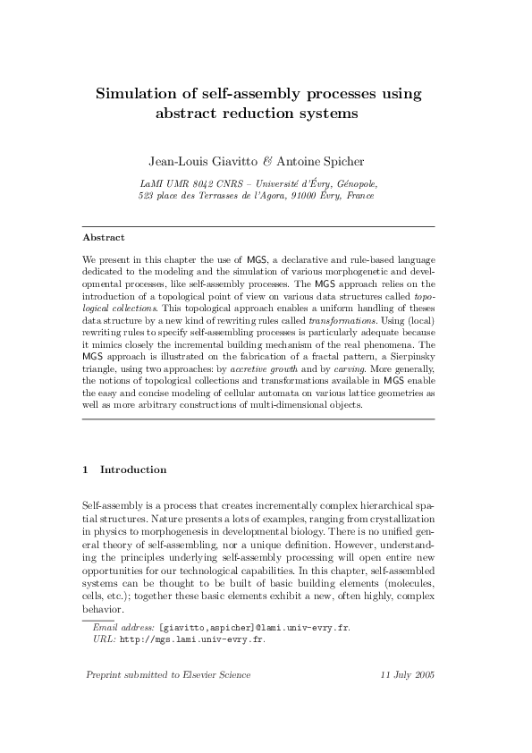 (PDF) Chapter 9 Simulation of Self-Assembly Processes Using Abstract Reduction Systems