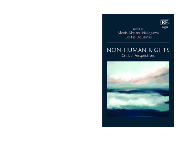 (PDF) Non-Human Rights. Critical Perspectives