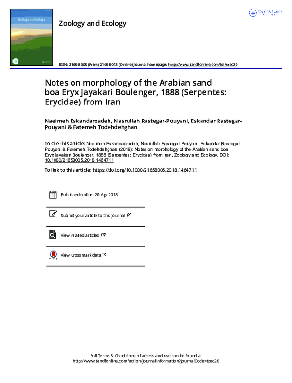(PDF) Notes on morphology of the Arabian sand boa Eryx jayakari ...