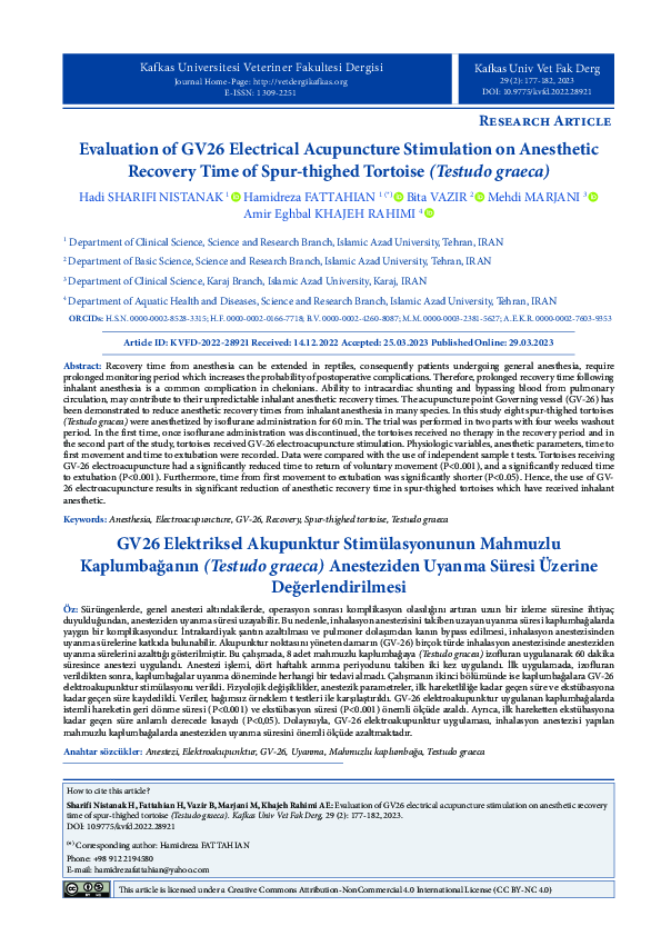 (PDF) GV26 Elektriksel Akupunktur Stimülasyonunun Mahmuzlu ...