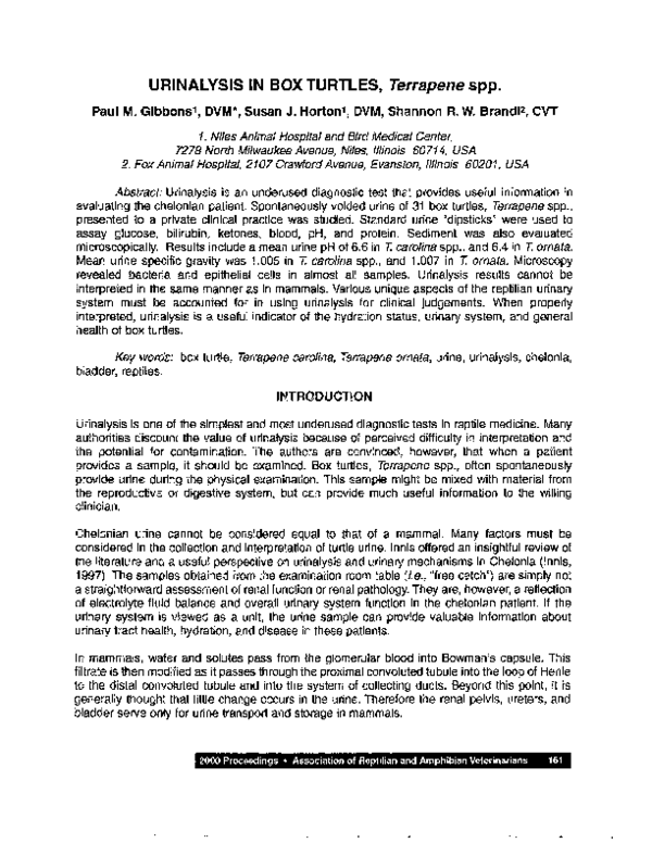 (PDF) URINALYSIS IN BOX TURTLES, Terrapene spp