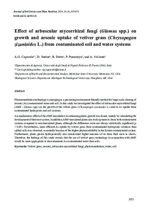(PDF) Effect of arbuscular mycorrhizal fungi (Glomus spp.) on growth and arsenic uptake of ...