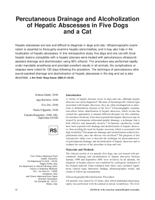 (PDF) Percutaneous Drainage and Alcoholization of Hepatic Abscesses in ...
