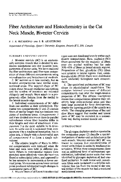(PDF) Fiber architecture and histochemistry in the cat neck muscle ...