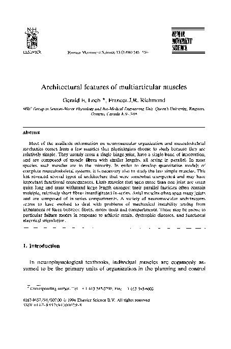 (PDF) Architectural features of multiarticular muscles