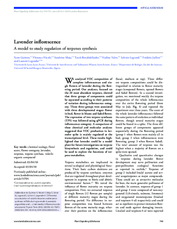 (PDF) Lavender inflorescence