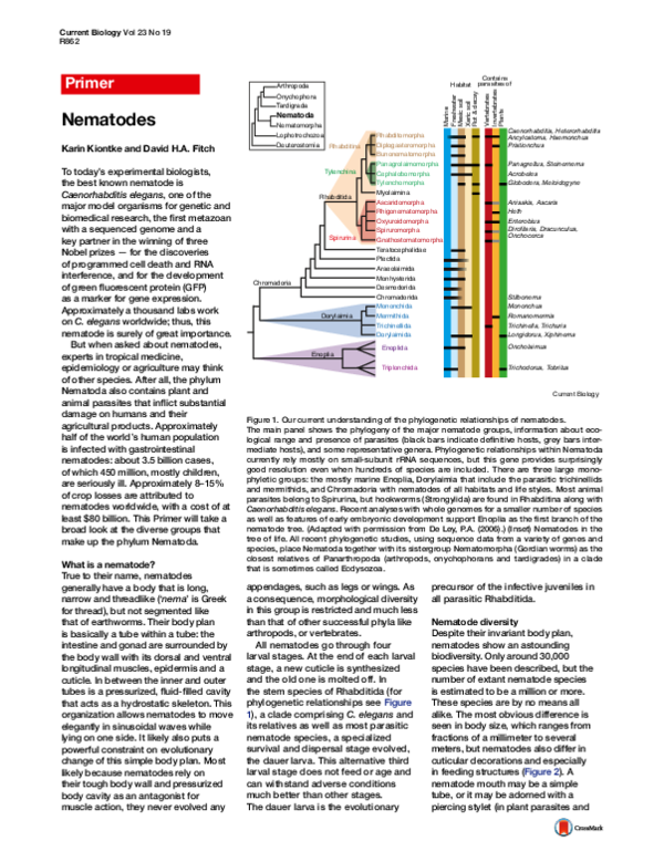 (PDF) Nematodes