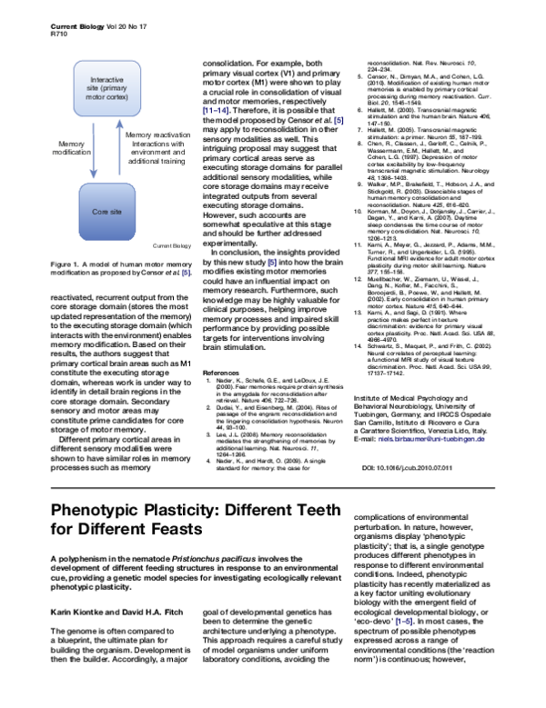 (PDF) Phenotypic Plasticity: Different Teeth for Different Feasts
