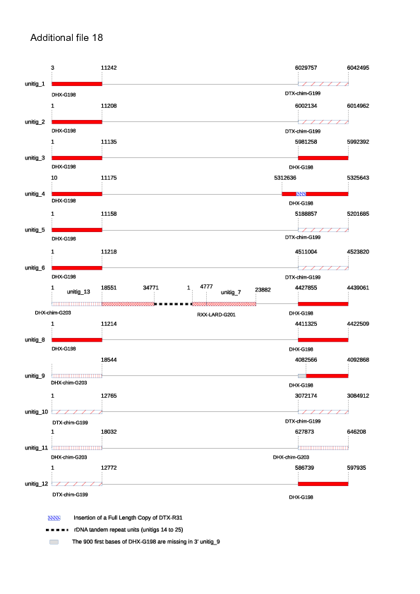 (PDF) Additional file 18: of Gapless genome assembly of Colletotrichum ...