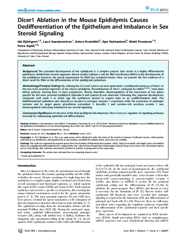 (PDF) Dicer1 Ablation in the Mouse Epididymis Causes Dedifferentiation ...