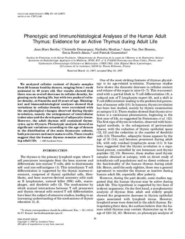 (PDF) Phenotypic and Immunohistological Analyses of the Human Adult ...