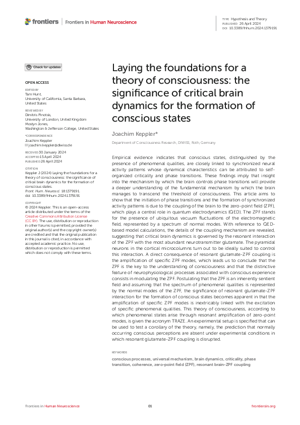 (PDF) Laying the foundations for a theory of consciousness: the ...