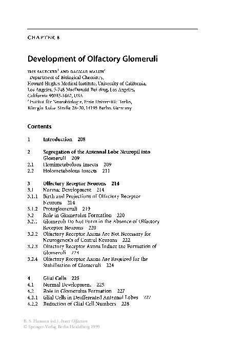 (PDF) Development of Olfactory Glomeruli