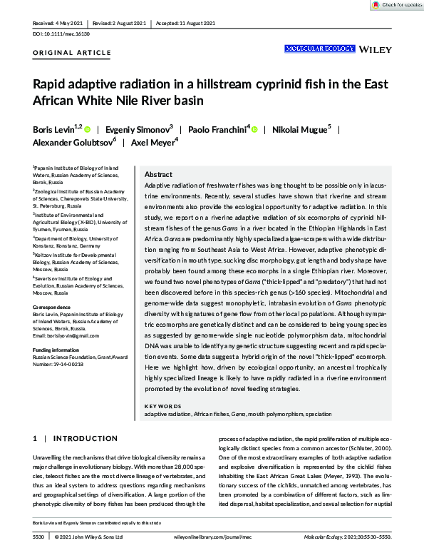 (PDF) Rapid adaptive radiation in a hillstream cyprinid fish in the ...