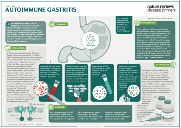 (PDF) Autoimmune gastritis