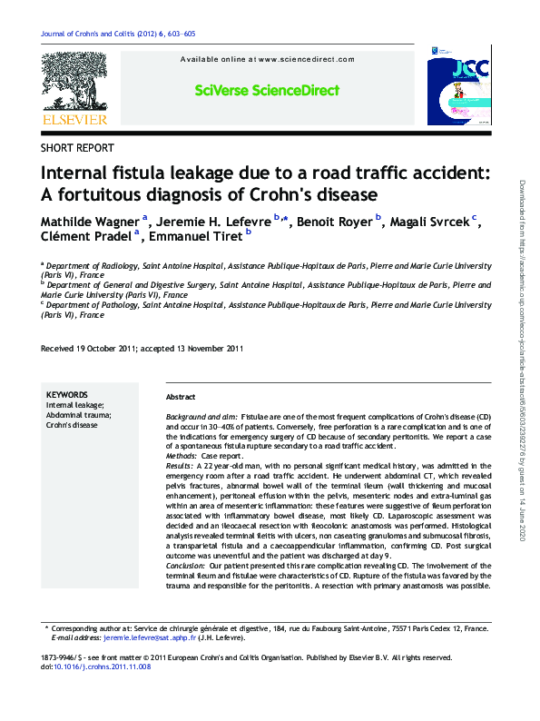 (PDF) Internal fistula leakage due to a road traffic accident: A ...