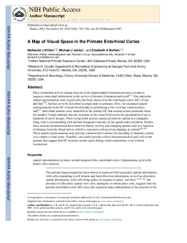(PDF) A map of visual space in the primate entorhinal cortex