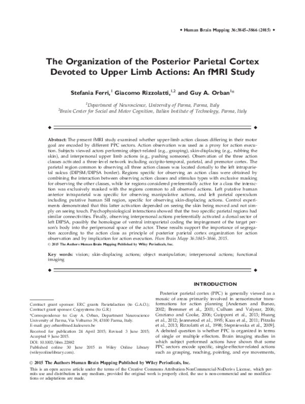 (PDF) The organization of the posterior parietal cortex devoted to ...