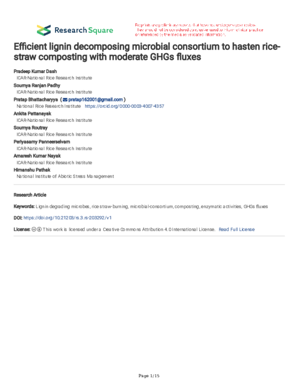 (PDF) Efficient Lignin Decomposing Microbial Consortium to Hasten Rice-Straw Composting with ...
