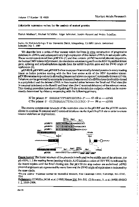 (PDF) Eukaryotic expression vectors for the analysis of mutant proteins