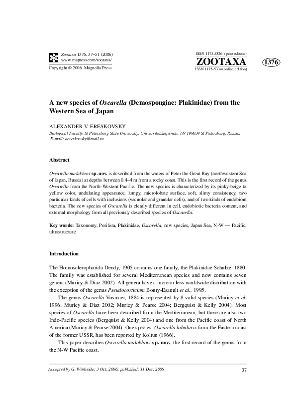 (PDF) A new species of the genus Oscarella (Porifera: Homosclerophorida ...