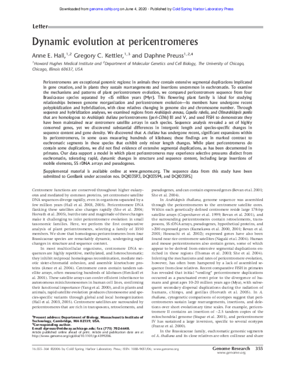 (PDF) Dynamic evolution at pericentromeres