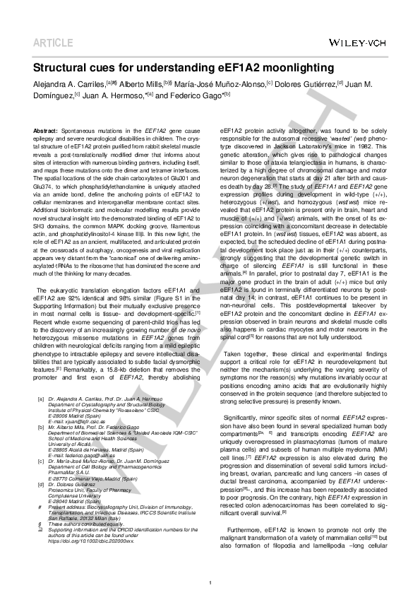 (PDF) Structural Cues for Understanding eEF1A2 Moonlighting