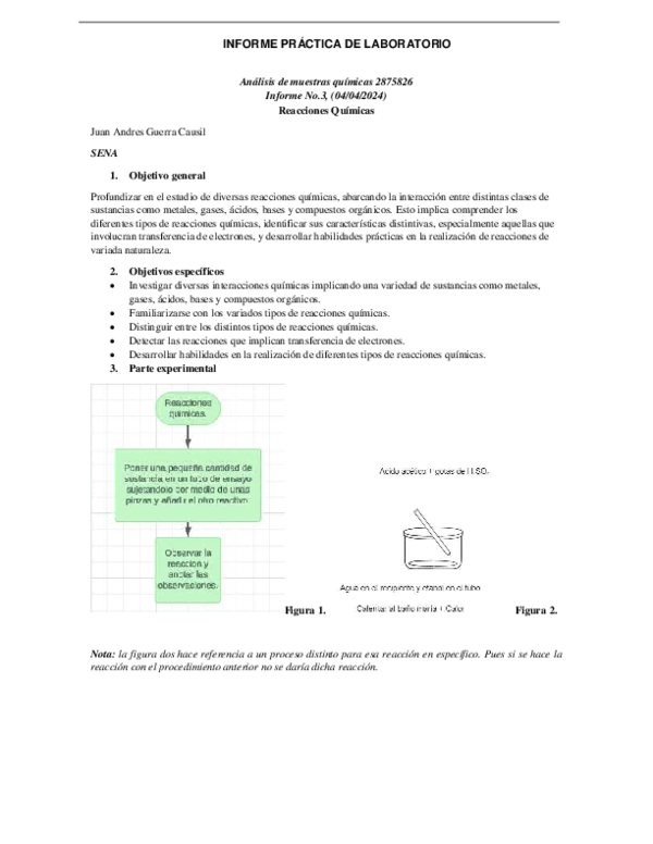 (PDF) INFORME PRÁCTICA DE LABORATORIO