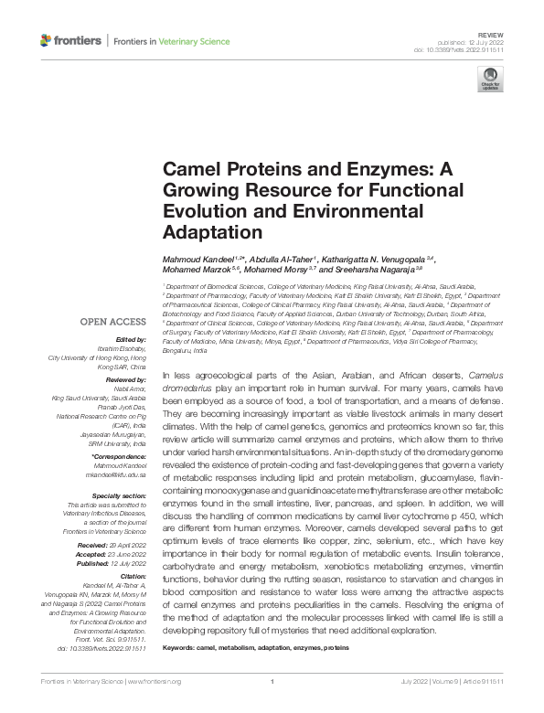 (PDF) Camel Proteins and Enzymes: A Growing Resource for Functional ...