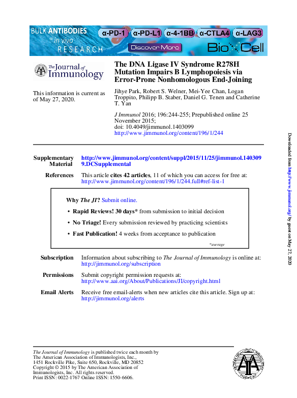 (PDF) The DNA Ligase IV Syndrome R278H Mutation Impairs B Lymphopoiesis ...