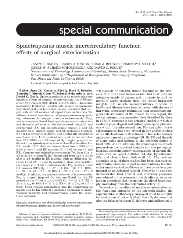 (PDF) Spinotrapezius muscle microcirculatory function: effects of ...