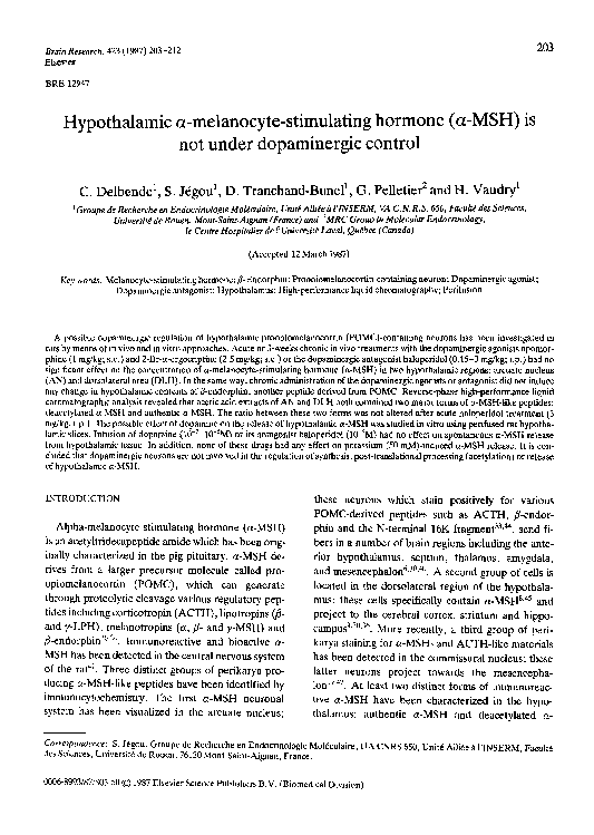 (PDF) Hypothalamic α-melanocyte-stimulating hormone (α-MSH) is not ...