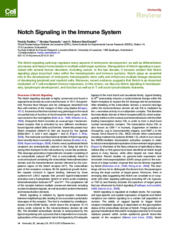 (PDF) Notch Signaling's Role in Immunity and Cancer